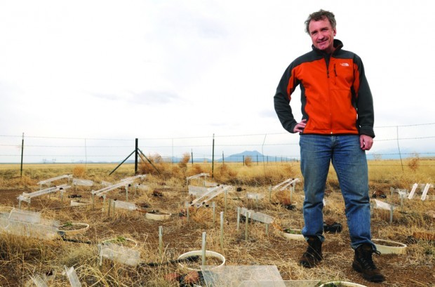 NAU researcher finds plants, soil don't absorb as much carbon as ...
