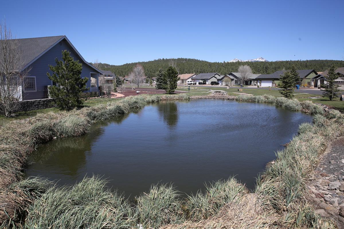 Listening in: Bellemont growing left and right | Local | azdailysun.com