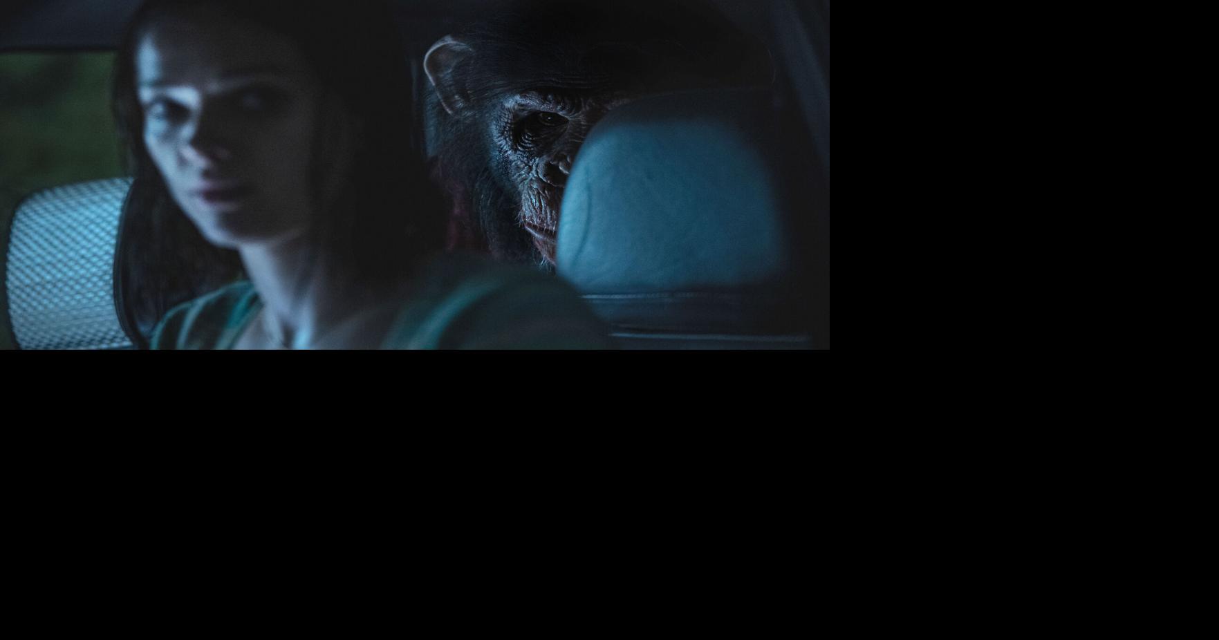 Movie Review: Monkey mayhem brings screams to effective horror thriller ...