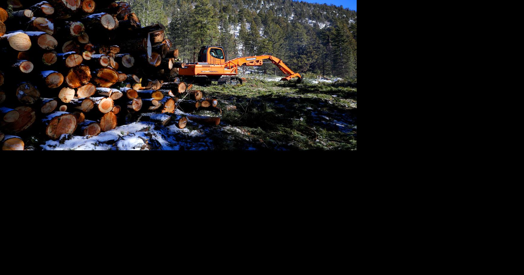 Minor delays for winter storm, logging operators report | Local News ...