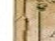 benjamin banneker solar eclipse