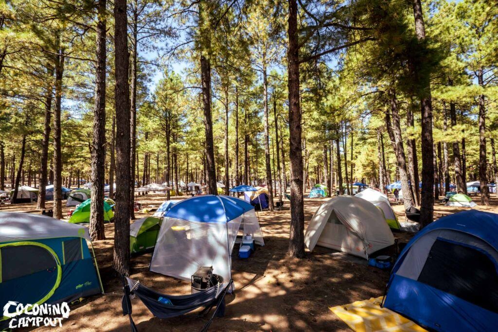 Pine trees, camping and bass music meet at this year’s Coconino Campout ...