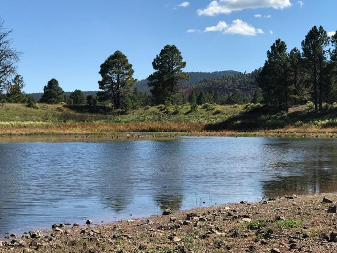 Gonzalez Ranch set to become public and for recreation and conservation ...