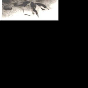 Nell Murphy | | azdailysun.com