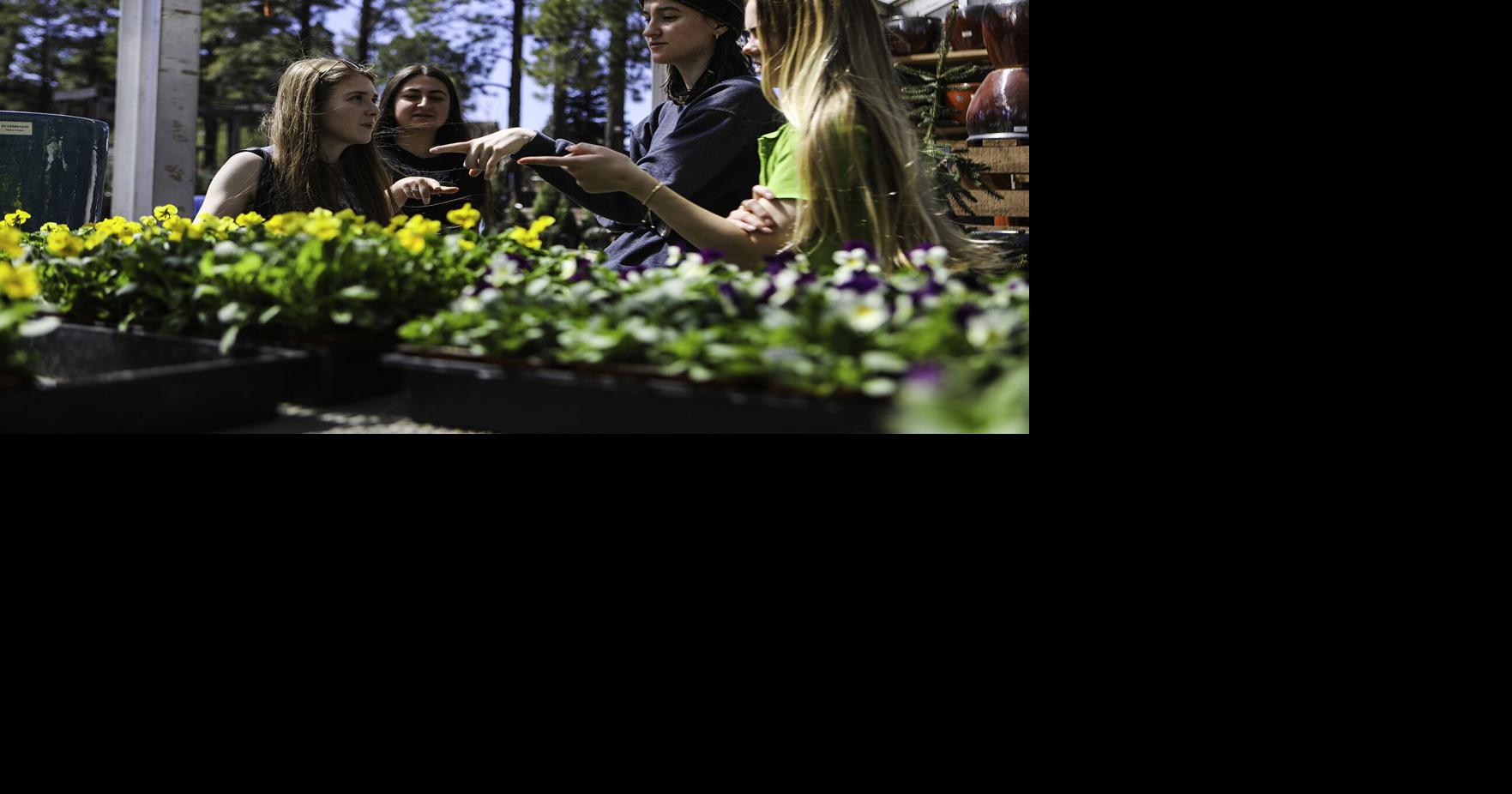 Flagstaff plant sellers offer tips for new, seasoned gardeners | Local ...