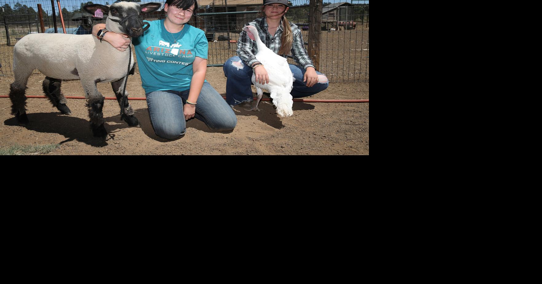 Countdown to the county fair: Meet some of the young leaders in ...