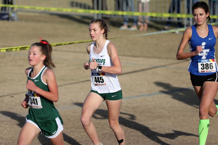 Gallery: Division II and D-IV cross country state championships | Local ...
