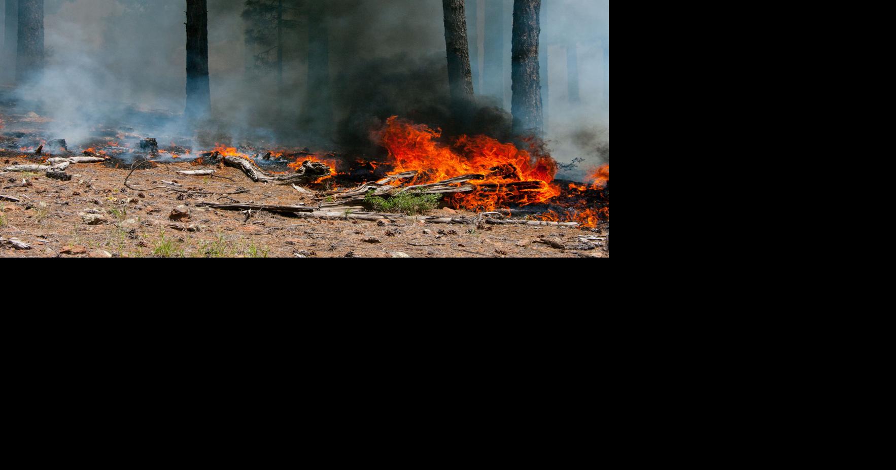 Firefighters complete majority of ignitions on Basin Fire north of ...