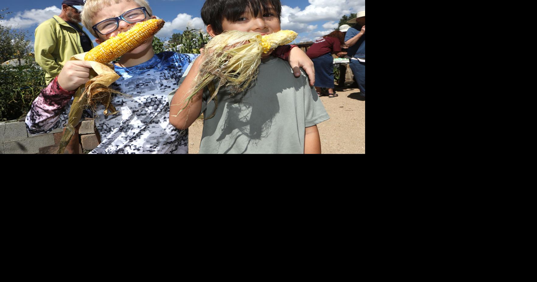 Gallery: Harvest Festival at Colton Garden | Local News | azdailysun.com
