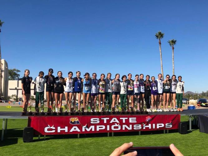 Hall's gold leads long list of local success at cross country state ...