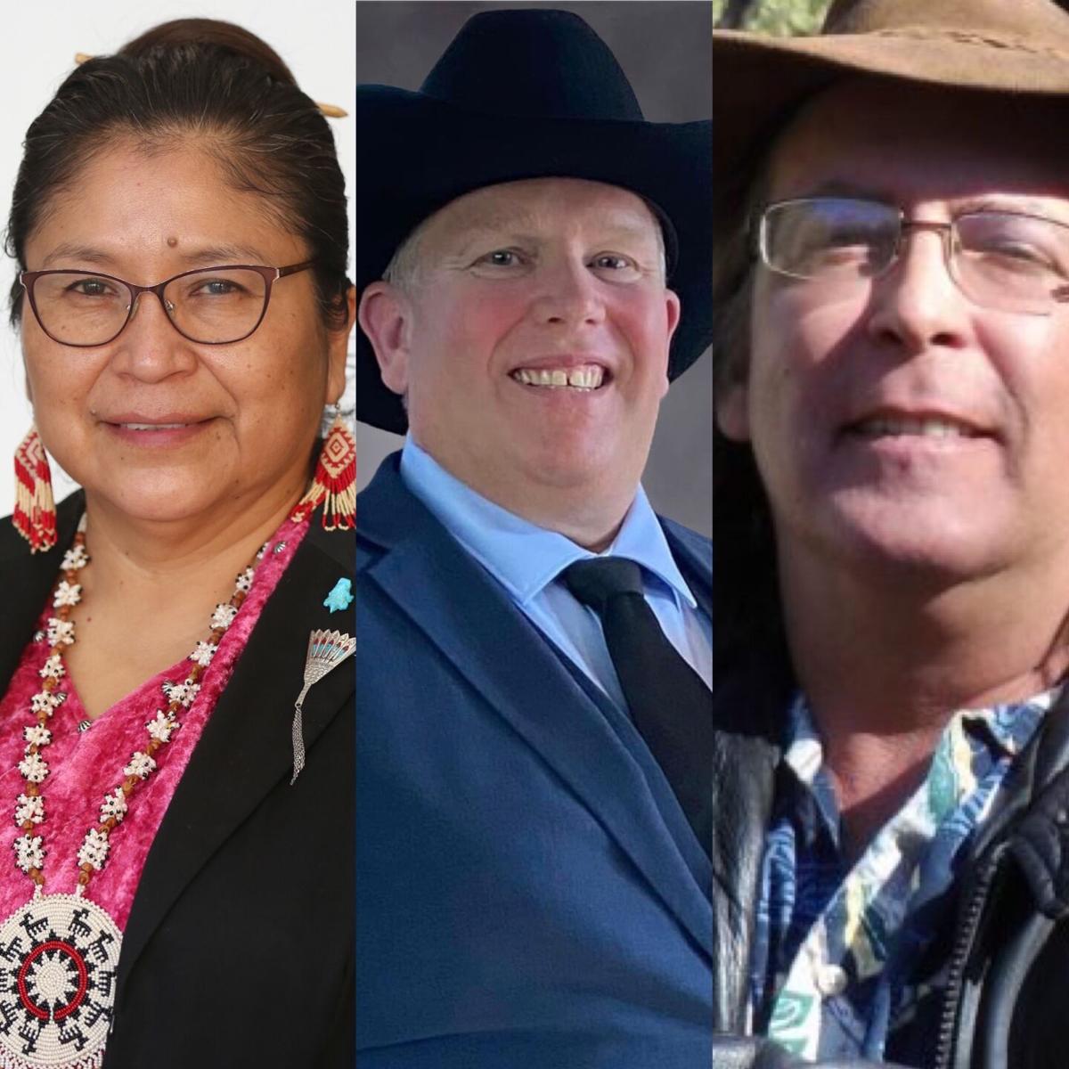 Meet the three District 6 candidates competing for a seat in the ...