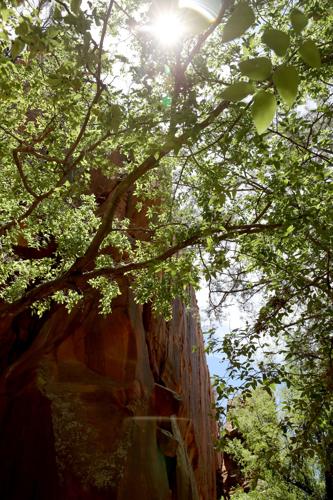 Ancient solar calendars mark the summer solstice