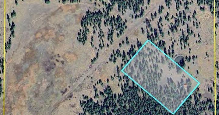 Coconino County finalizes Bull Basin conservation easement | Local News ...