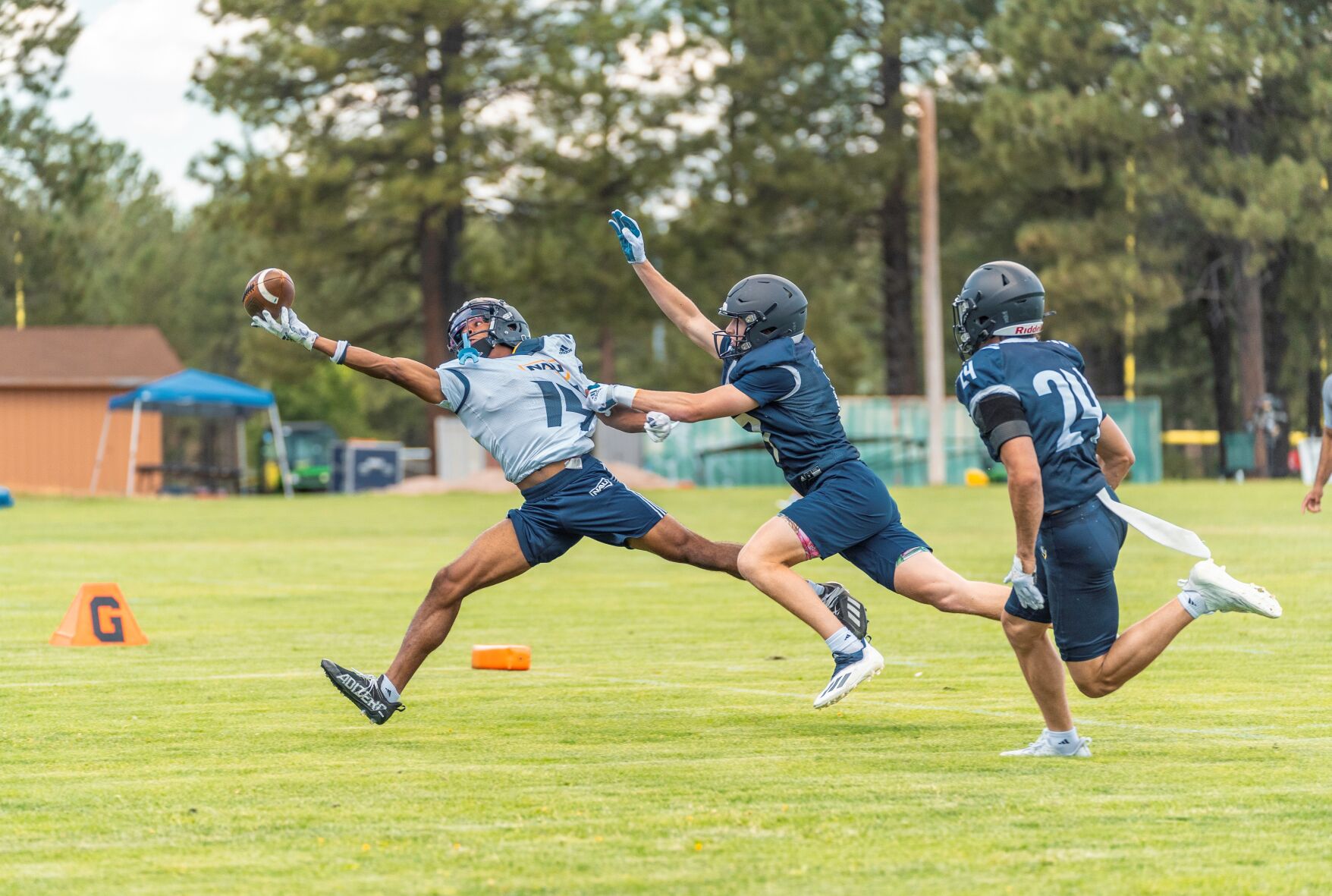Higley North? Lumberjacks offense loaded with high school teammates ...