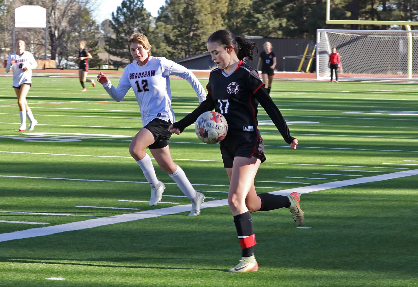 Boardman scores 2 goals on birthday as Coconino girls soccer stays ...