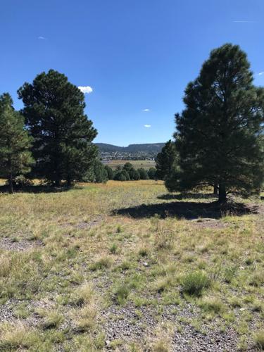 Gonzalez Ranch set to become public and for recreation and conservation ...