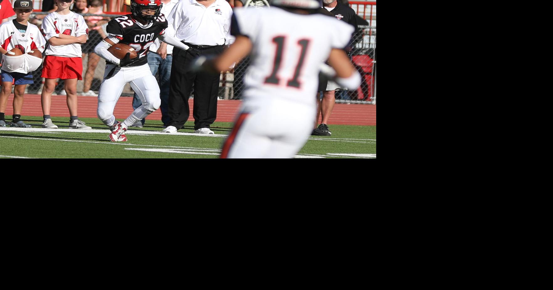 After big win over Bears last year, Panthers will try to do it again ...