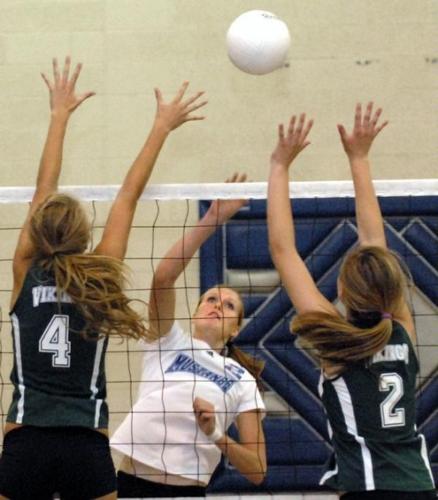 SHS volleyball team: Three and out | Sports | azdailysun.com