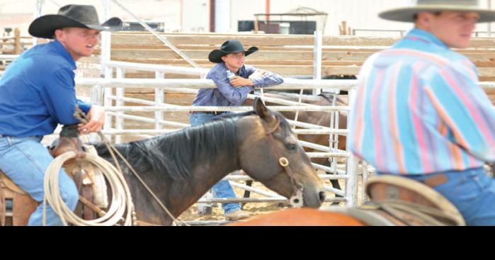 Babbitt Ranches' Hashknife colt sale brings out Flagstaff's cowboy ...