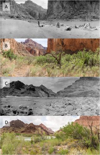 Study shows how Glen Canyon Dam has put Grand Canyon archeological site ...