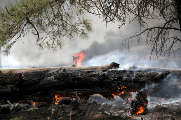 SETTLING SMOKE: Living with prescribed burns