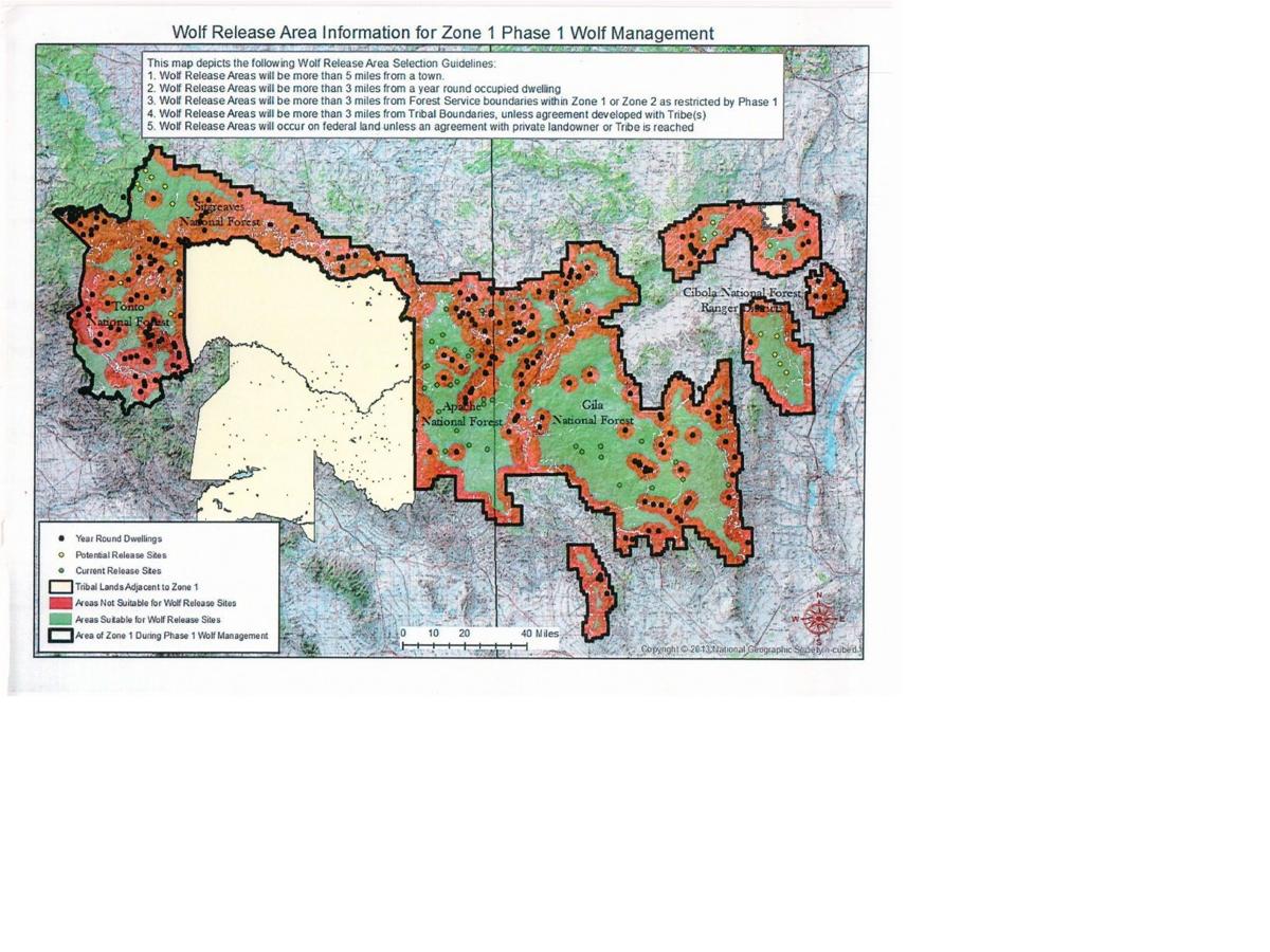 Wolf releases prepare to expand | Local | azdailysun.com