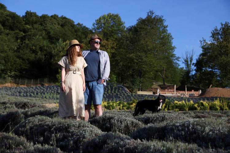 Van Gogh's 'Starry Night' recreated as park in Bosnian hills ...