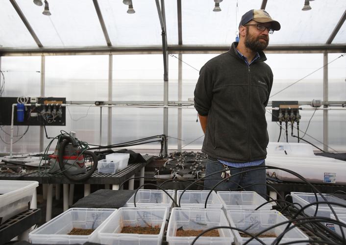 NAU ecologist tends to garden of biocrust