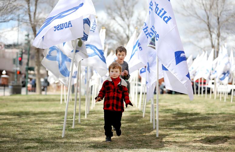 Gallery: Memorial flags in place for Field of Hope near Coconino County ...
