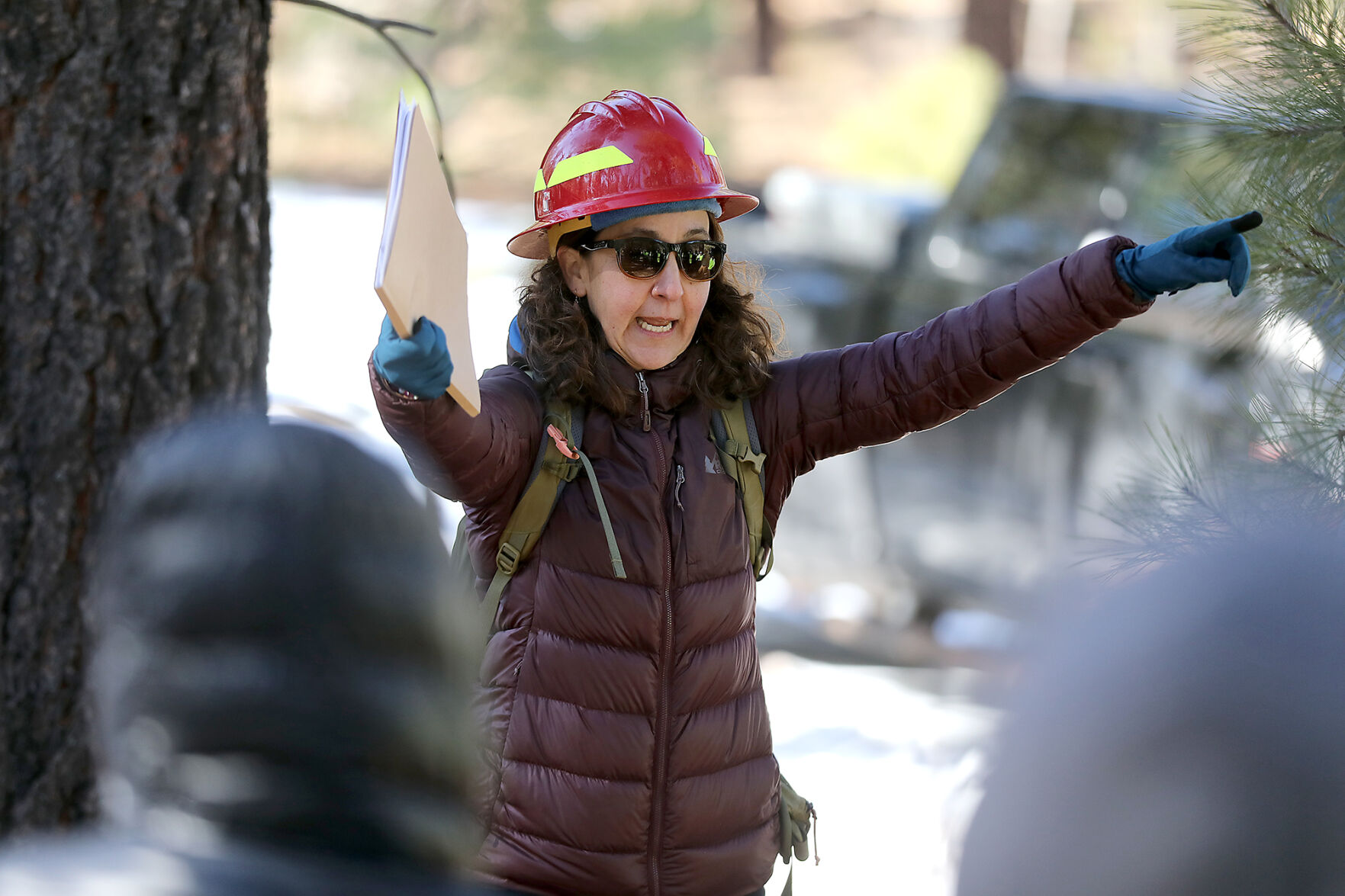 Forest health meets archaeological preservation on Mormon Mountain ...