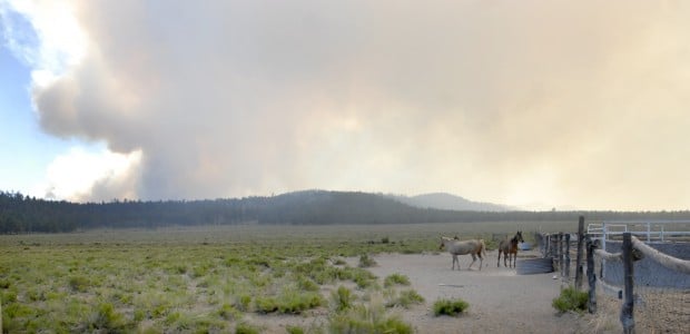 Eagle Rock fire | Local News | azdailysun.com