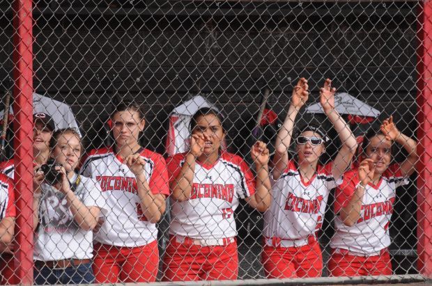 Coconino vs. Kingman Softball | | azdailysun.com