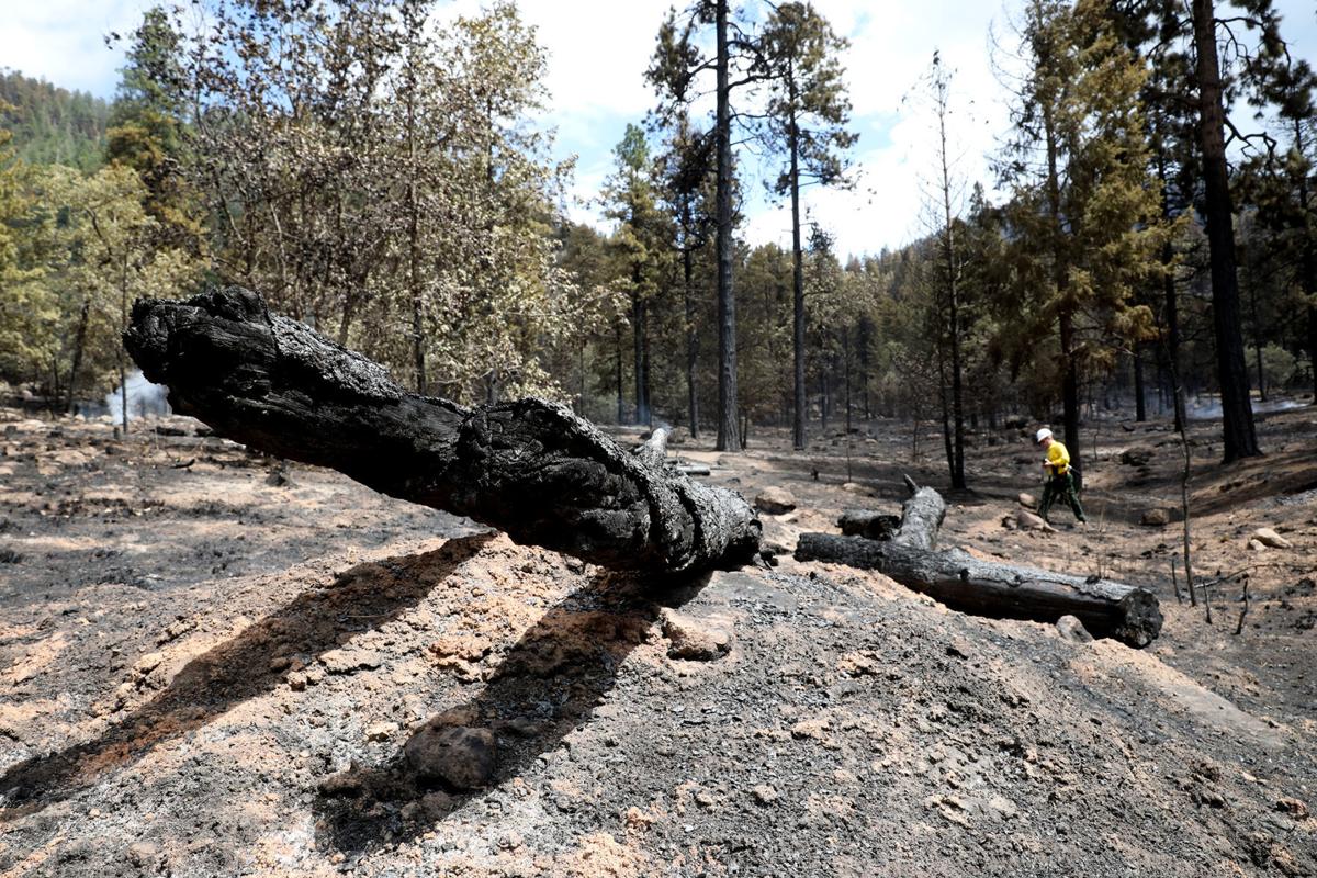 Museum Fire reaches 91% containment, 1,961 acres burned | News ...