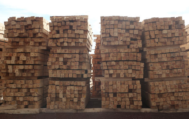 Newpac Fibre | | azdailysun.com