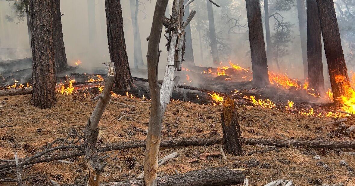 Small wildfire near Woody Mountain sends smoke into Flagstaff | Local ...