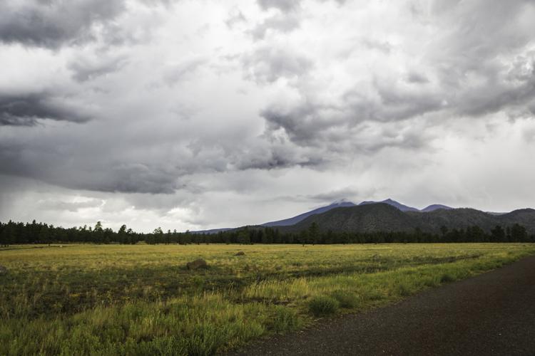 Gallery: After week of monsoons in Flagstaff, sunny skies, warm ...