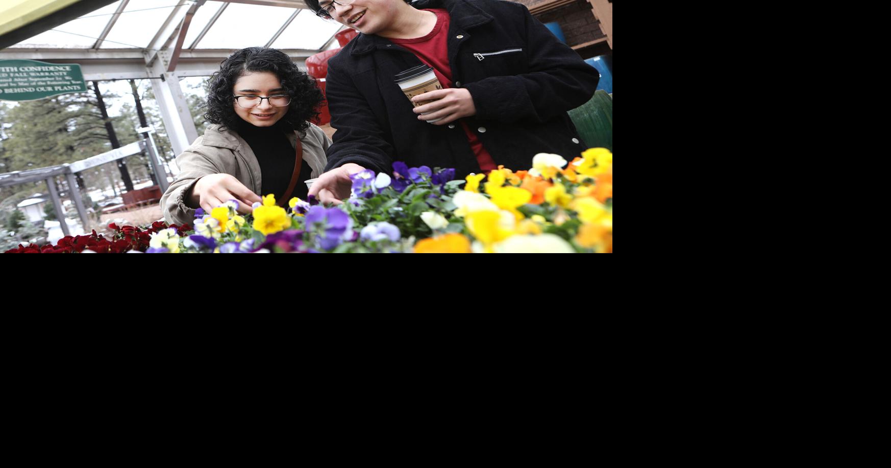Gallery: Spring has sprung in Flagstaff | Local News | azdailysun.com