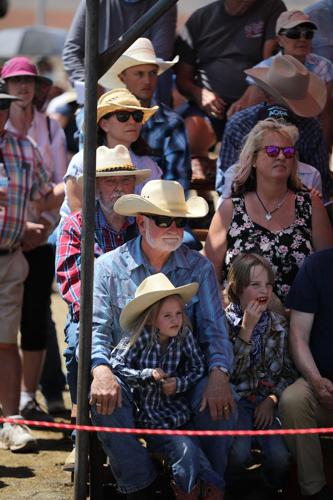 Gallery: Babbitt Ranches Colt Sale returns after year off due to COVID ...