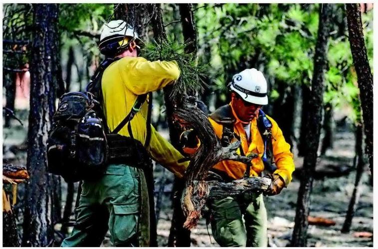 Clearing paths during different circumstances | | azdailysun.com