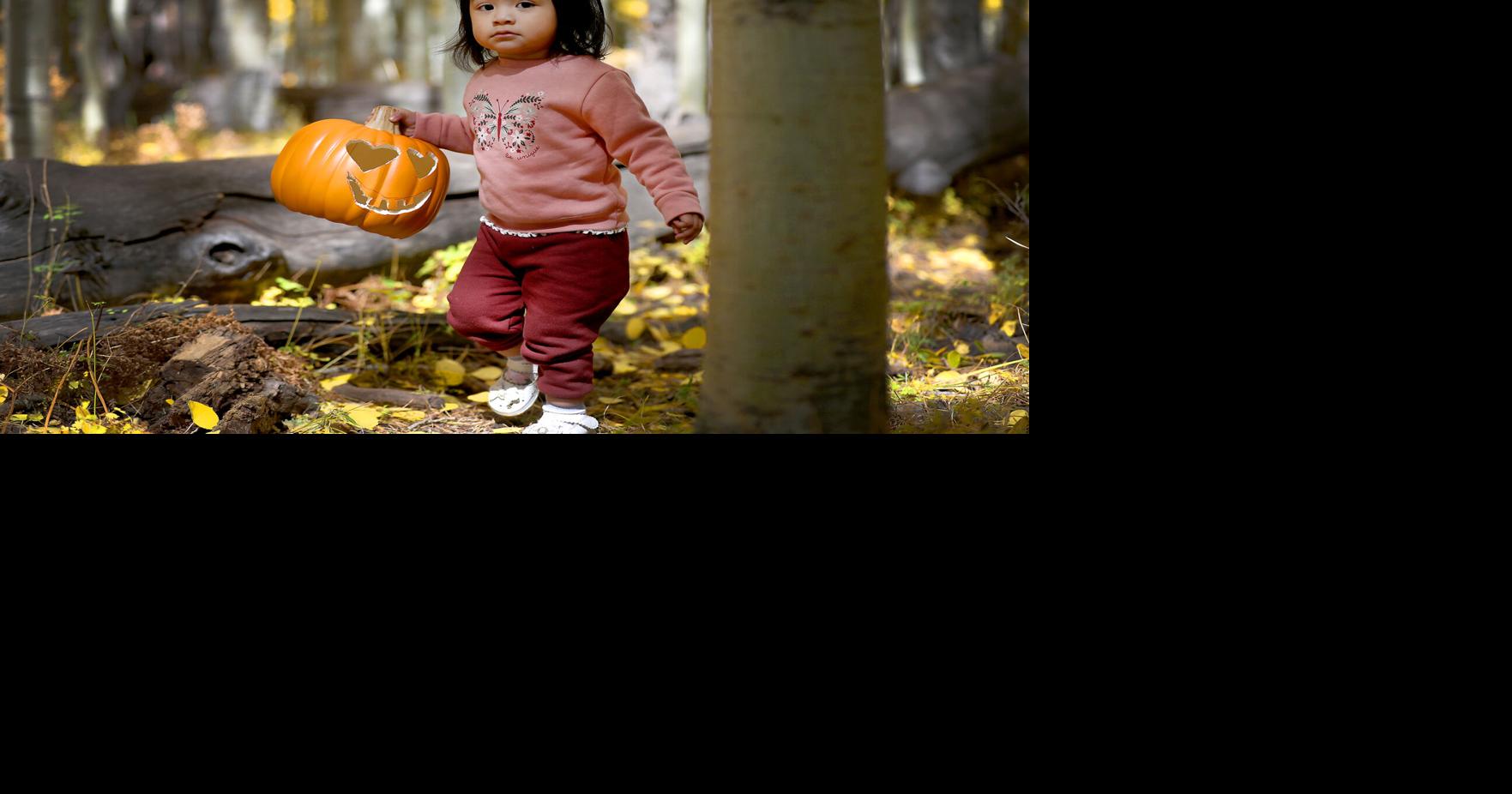 Gallery: Leaf-peeping season hits peak | Local News | azdailysun.com