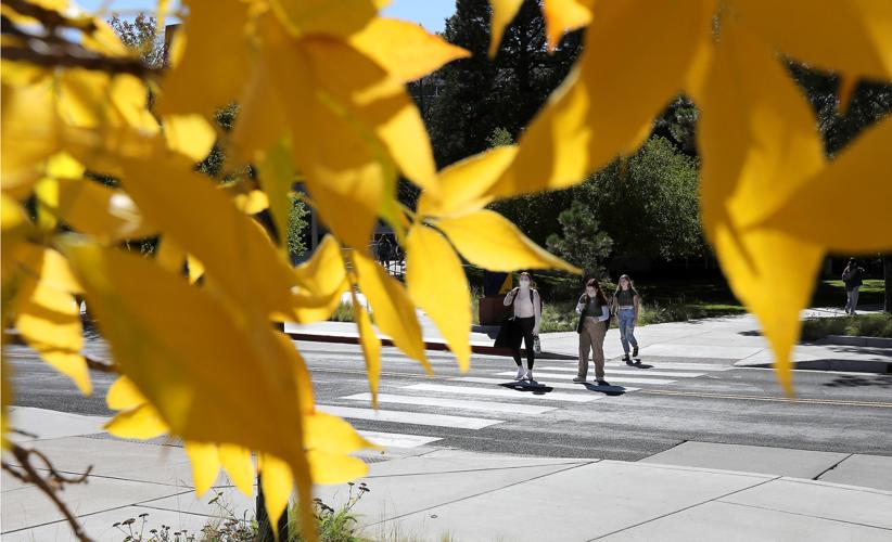 Gallery: Flagstaff's leaves changing colors in fall over the years ...