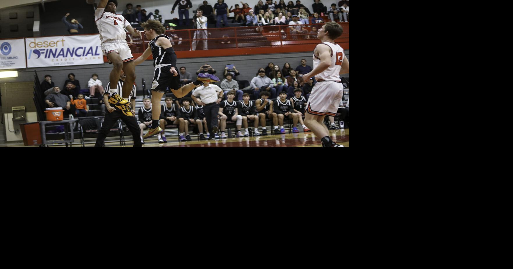 Coconino boys avenge loss, advance to playoffs with win over ACP ...