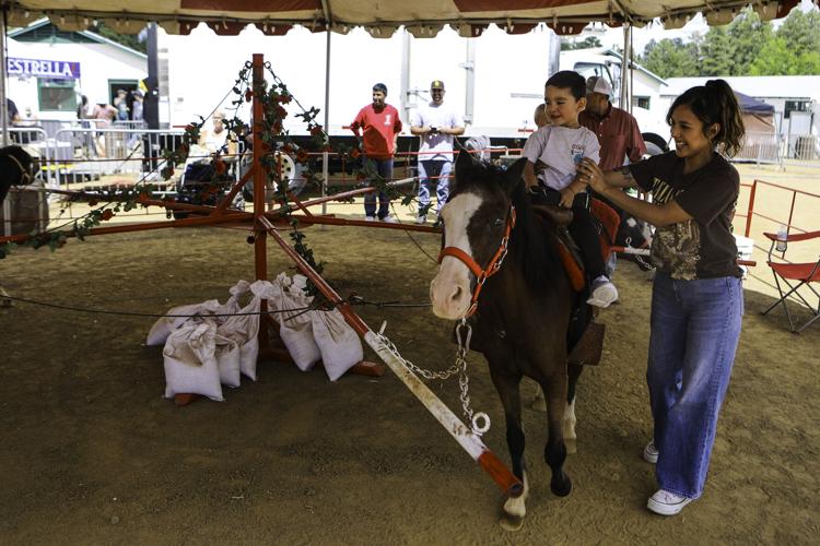 Gallery: Fun at the 74th Annual Coconino County Fair | Local News ...