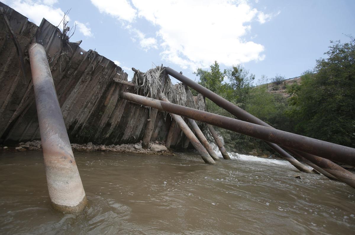 Reviving the Verde River | Local | azdailysun.com