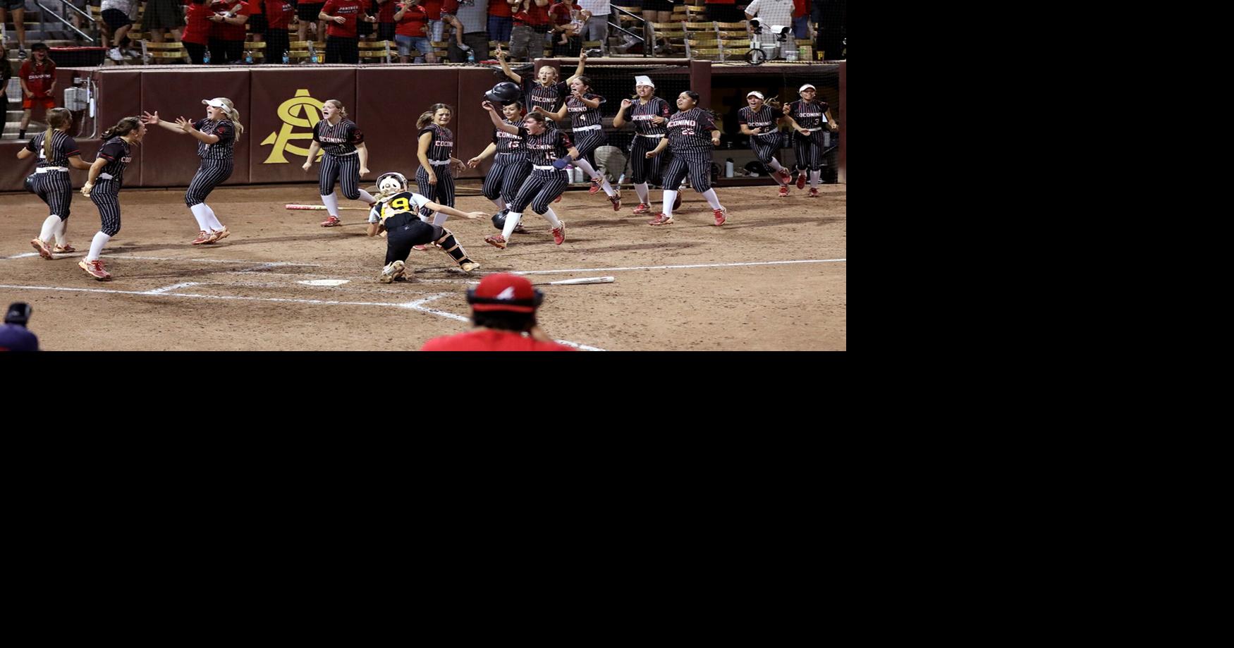 Gallery: Coconino Panthers softball wins 4A Conference state ...