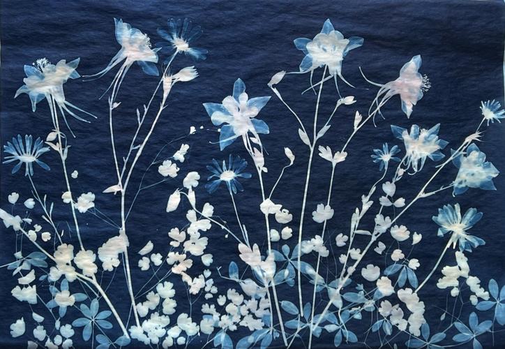 Flagstaff's Art in the Park sparks fireworks of creativity | Local News ...