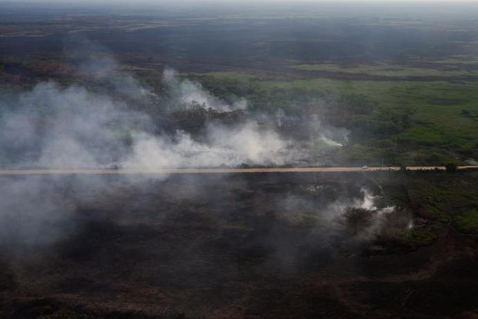 Fire incidents in Brazil wetlands surge 980% | | azdailysun.com