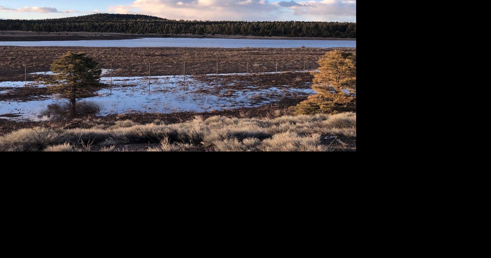 Gonzalez Ranch set to become public and for recreation and conservation ...