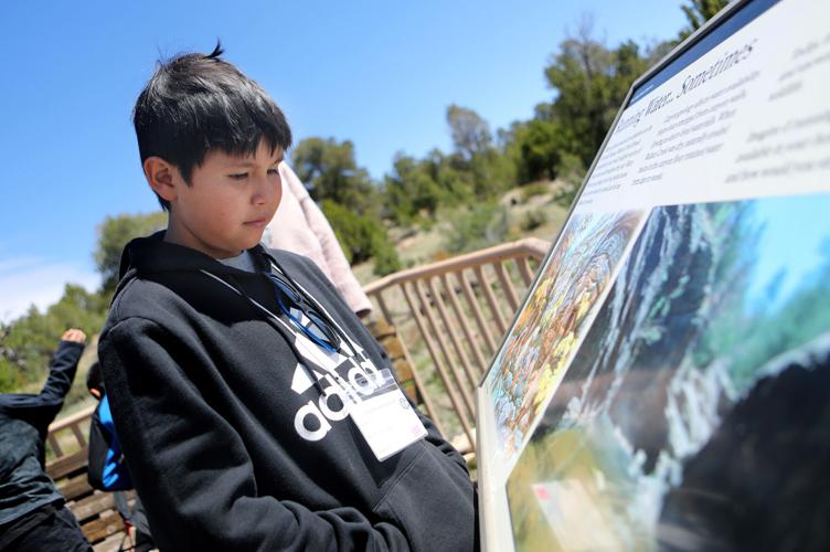 Killip Elementary fourth-graders organize Walnut Canyon field trip ...