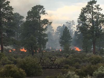 Maroon Fire causing smoke west of Flagstaff | News | azdailysun.com